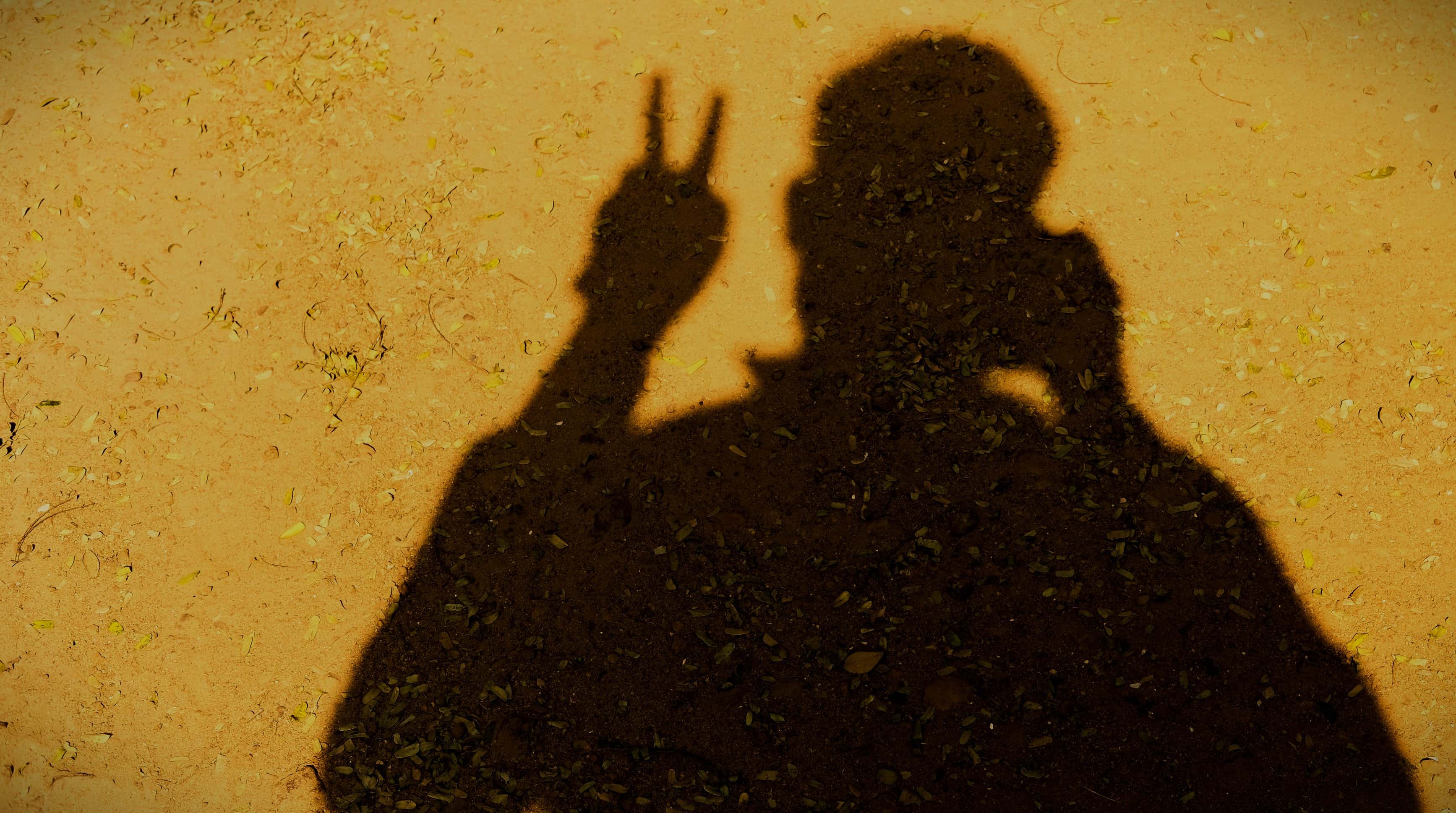 Rakesh Sahu - Progammer / Photography Hobbyist